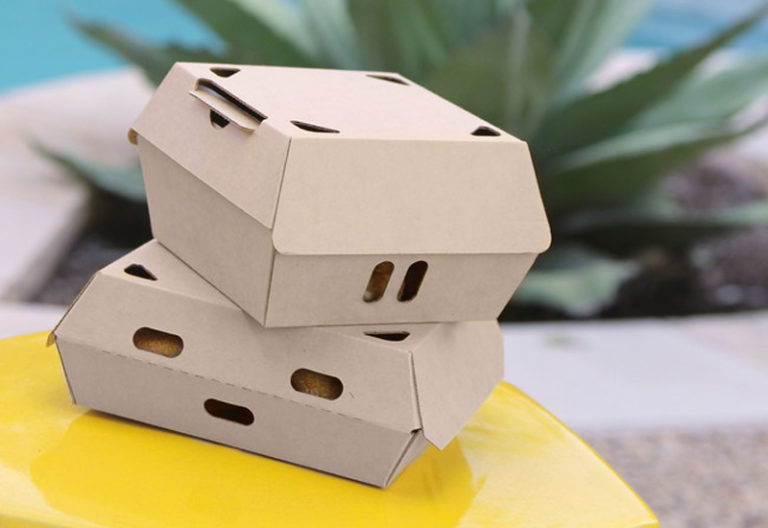 Novolex introduces new container that ensures food remains crunchy and warm